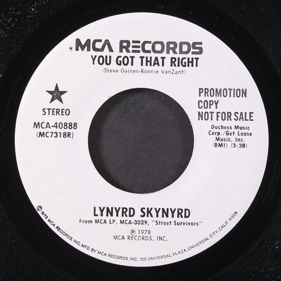 LYNYRD SKYNYRD: you got that right / same MCA 7" Single 45 RPM | eBay