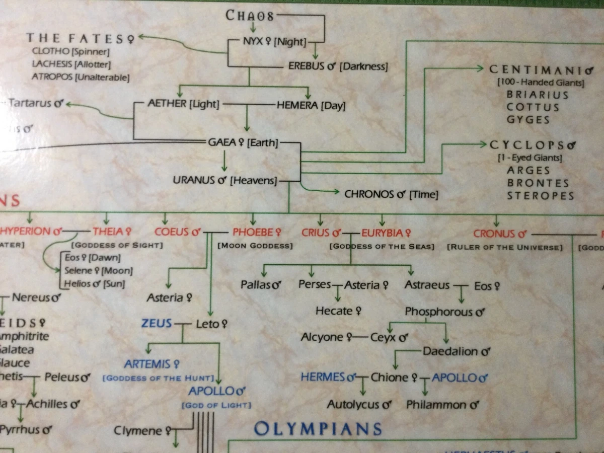 Zeus Greek Mythology Family Tree