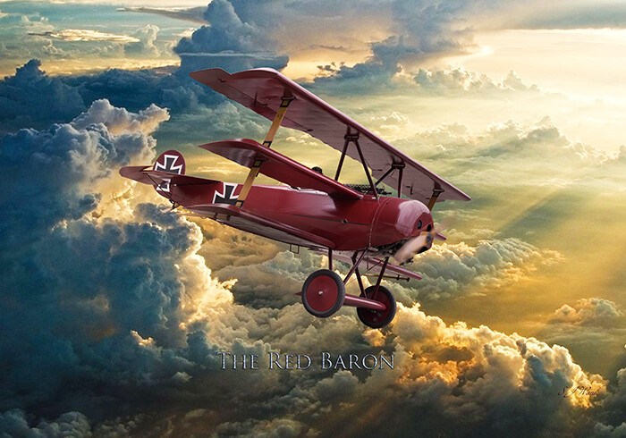 Red Baron Art 11X14 PRINT OF PAINTING RYTA AIRPLANE AEROPLANE PEMBROKE