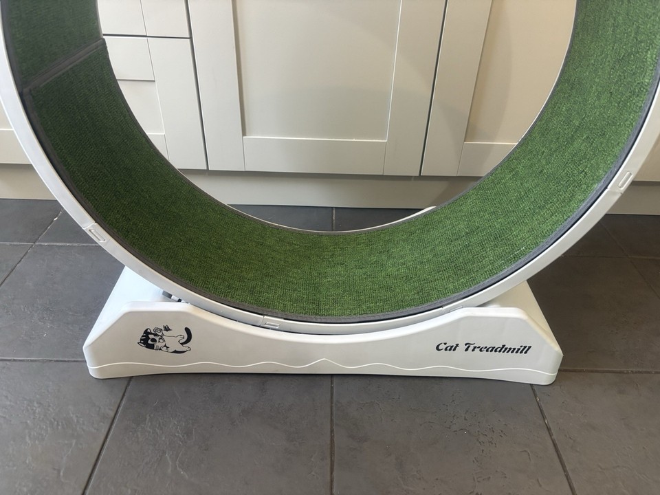 Cat Treadmill Exercise Running Wheel (or bed) | eBay UK