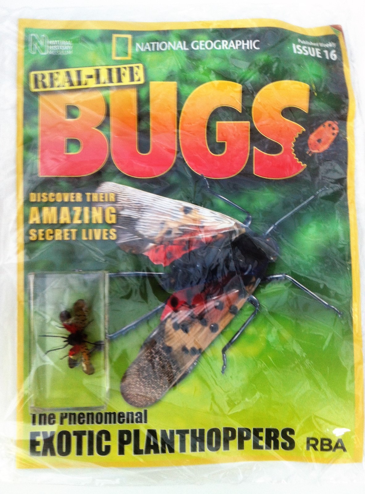 Natural History Museum National Geographic Bugs & Insects Magazine ...