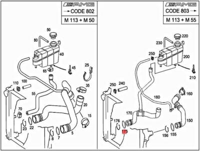 Genuine MERCEDES C215 R230 W220 S-CLASS W220 Sealing ring 0279971848 | eBay