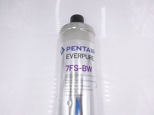 Pentair Everpure 7FS-BW Replacement Filter Cartridge EV9627-16 | eBay