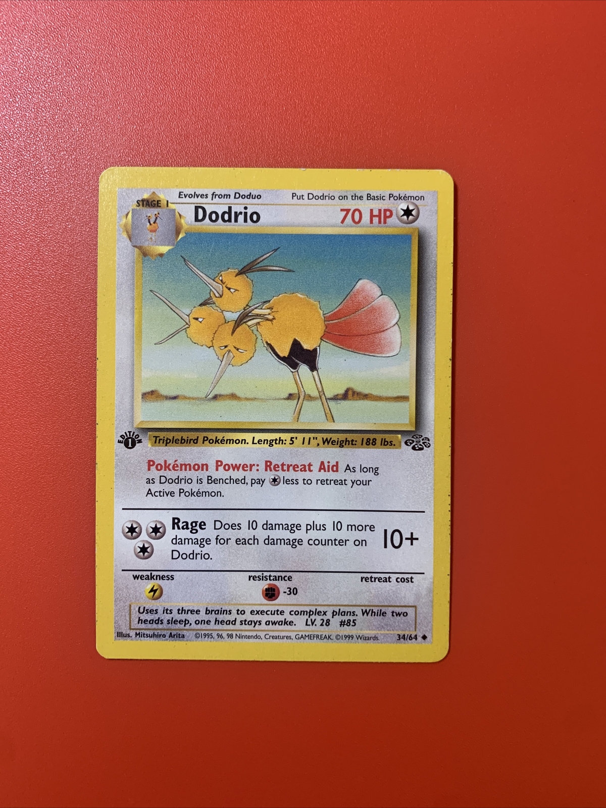 1st Edition Dodrio 34/64 - Jungle - Pokémon - LP | eBay