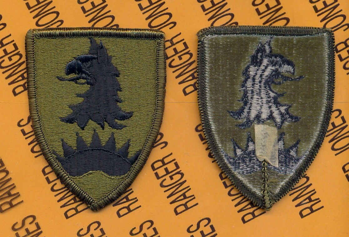 US Army 221st Military Police MP Brigade OD Green & Black BDU uniform ...