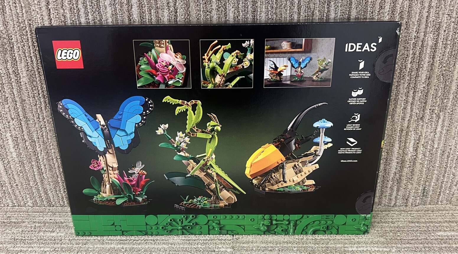 LEGO Ideas The Insect Collection Building Set and Nature Décor 21342
