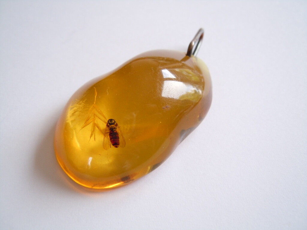Honey-colored Resin Pendant with Insect Small Fly 16.… - Gem
