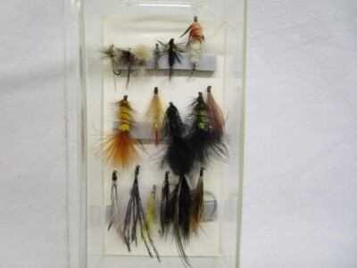 Flies - Fly Display