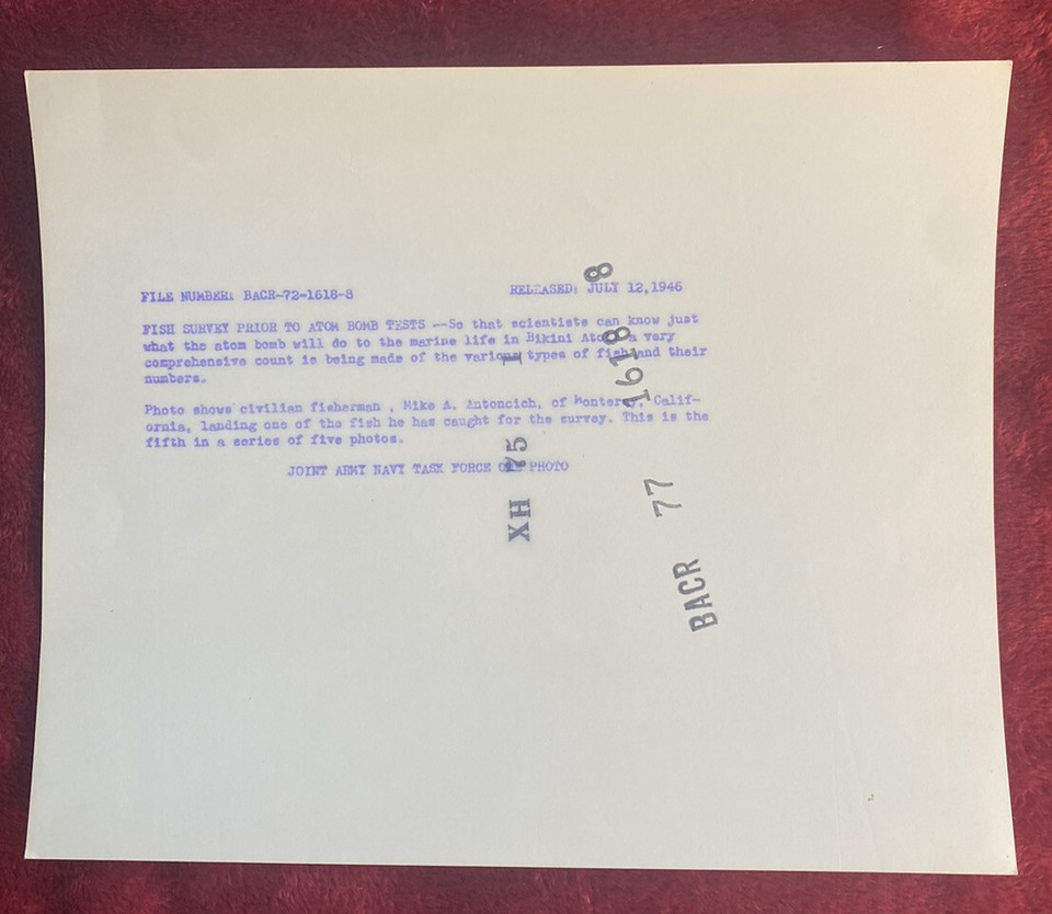 Bikini Atoll Operation Crossroads Fish Survey Photo Prior to Atom Bomb ...