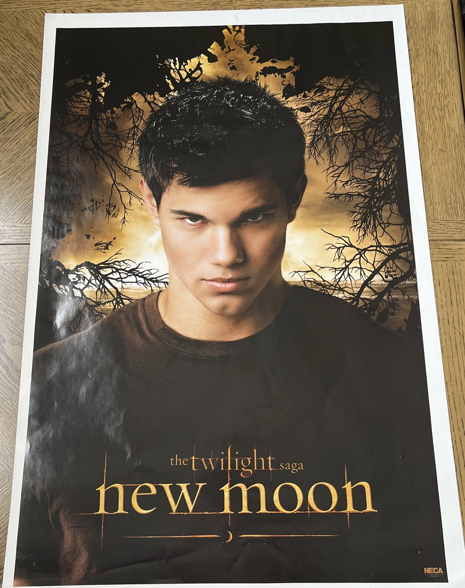 New Moon Movie Poster