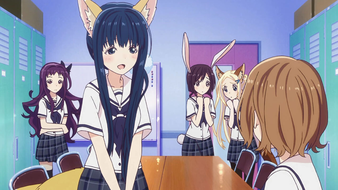 DVD Anime Hanayamata Vol.1-12 End English Subtitle Region All +Tracking ...