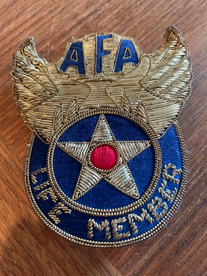 Vintage LIFE MEMBER AFA Air Force Association LARGE Pin Badge Bullion ...