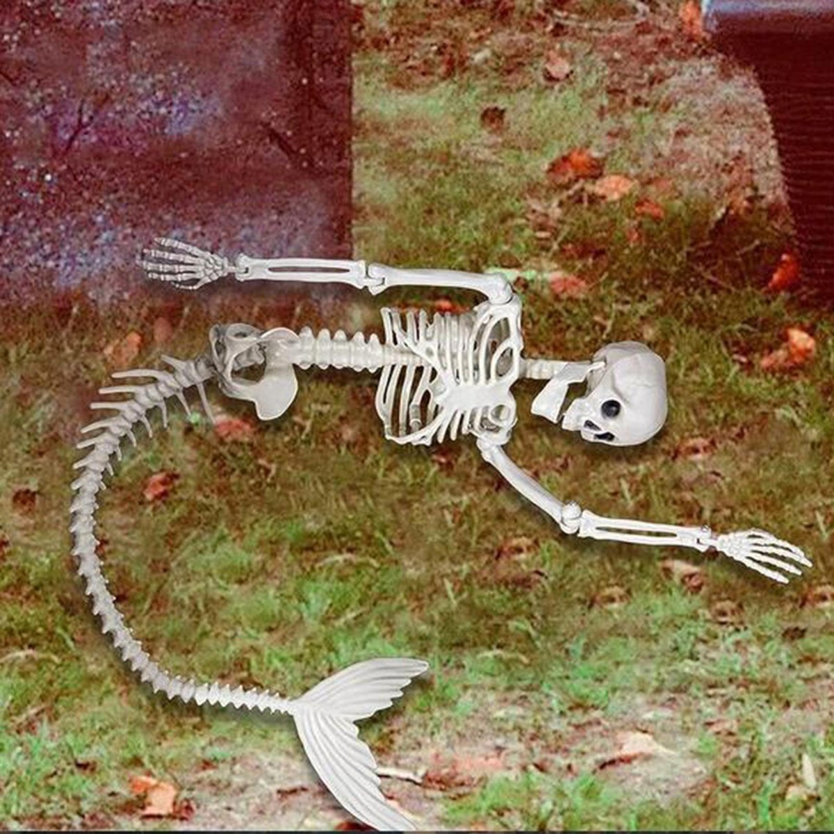 Real Life Mermaid Skeleton Realistic Full Body Human Skeleton Mermaid