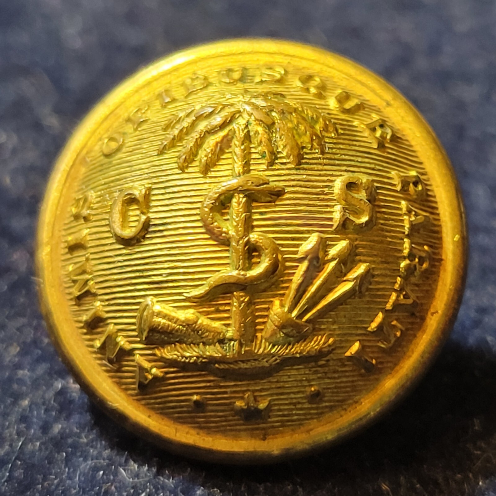 CIVIL WAR ERA CONFEDERATE SOUTH CAROLINA PALMETTO GUARD BUTTON ALBERT ...