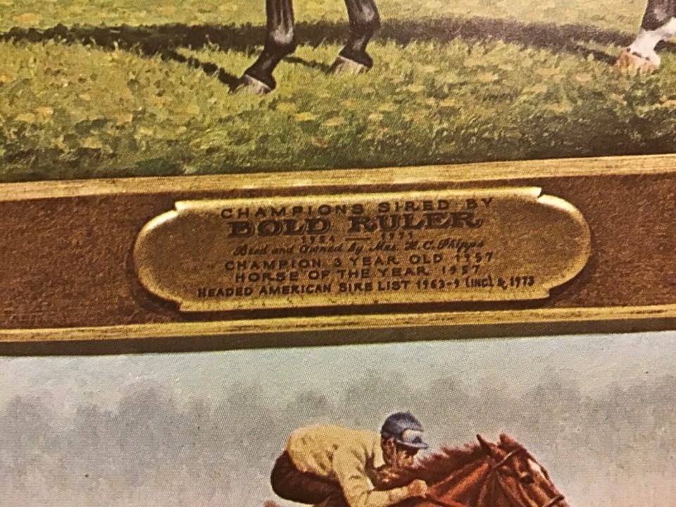 BOLD RULER 10 x 9 Photo Horse Racing SECRETARIAT ELEVEN RACING ...