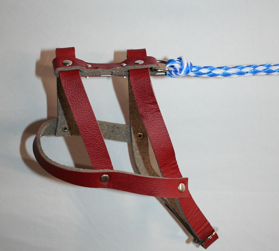 Invisible Dog Leash theatrical stage parade prop joke prank comedy ...