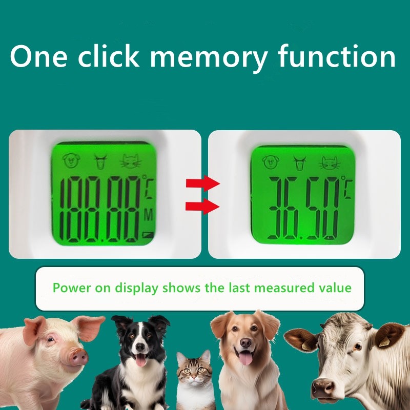 Thermometer Veterinary Electronic Pigs Cattle Sheep Temperature Tester ...