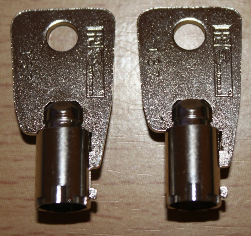 2-Protex Gun Wall Safe Homak Keys by Lock Ace II Locks cut to code HMC1 ...