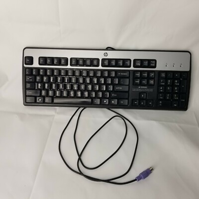 HP Standard PS/2 Keyboard KB-0316 Wired | eBay