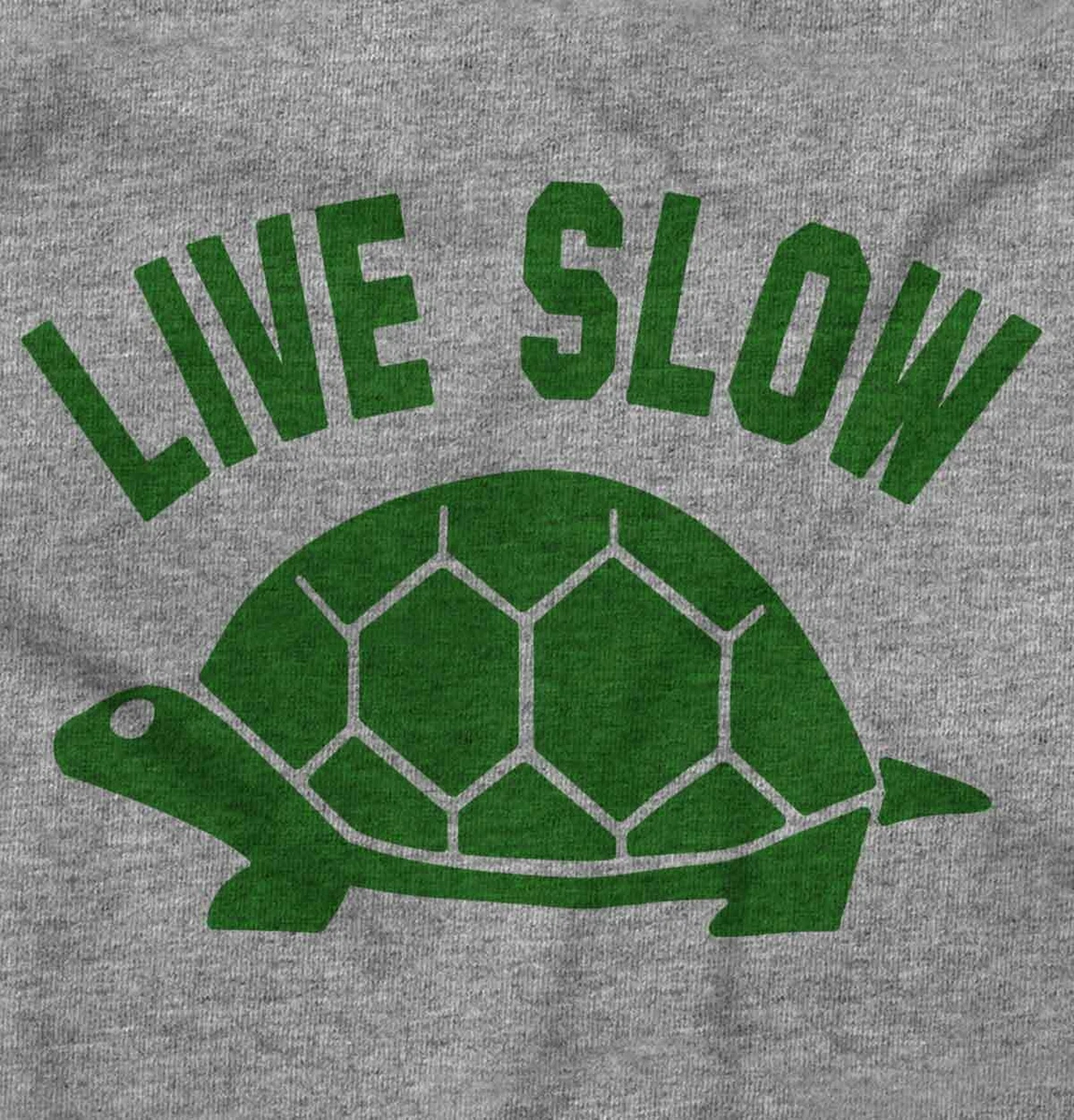 Slow Turtle Meme