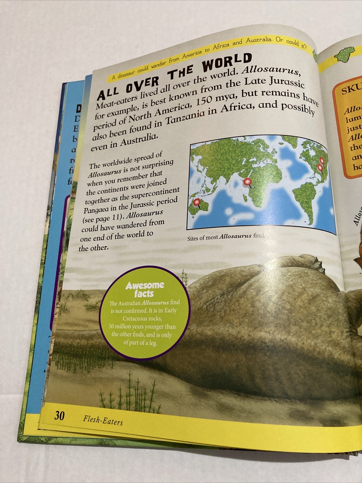 The Really Big Awesome Book : Really Big Books: Dinosaurs Kids Book ...