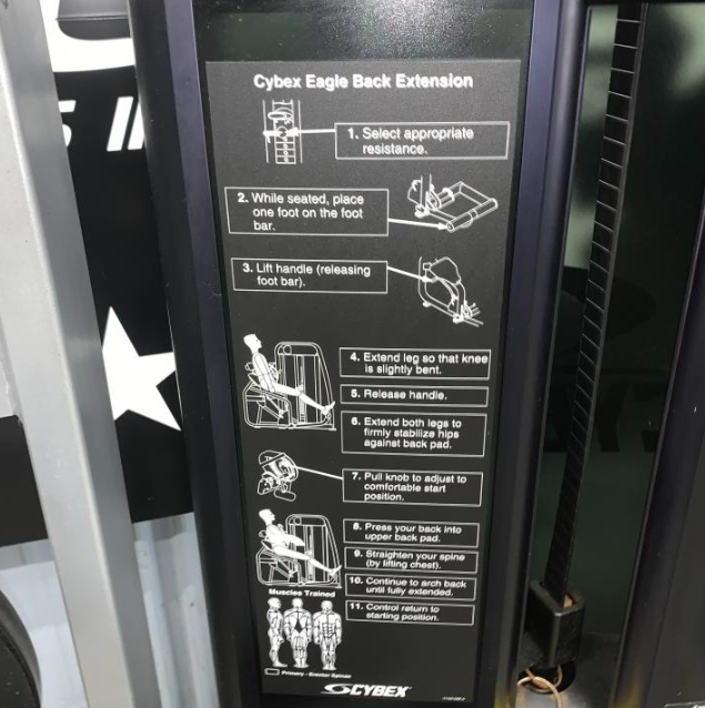Cybex | Eagle Back Extension | eBay