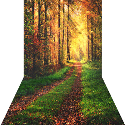 Outdoor 10'x20' Computer/Digital Vinyl Scenic Photo Backdrop Background ...