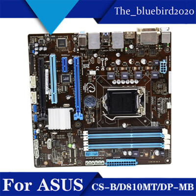 FOR ASUS CS-B/D810MT/DP-MB LGA1150 MicroATX Motherboard DDR3 USB 3.0 | eBay