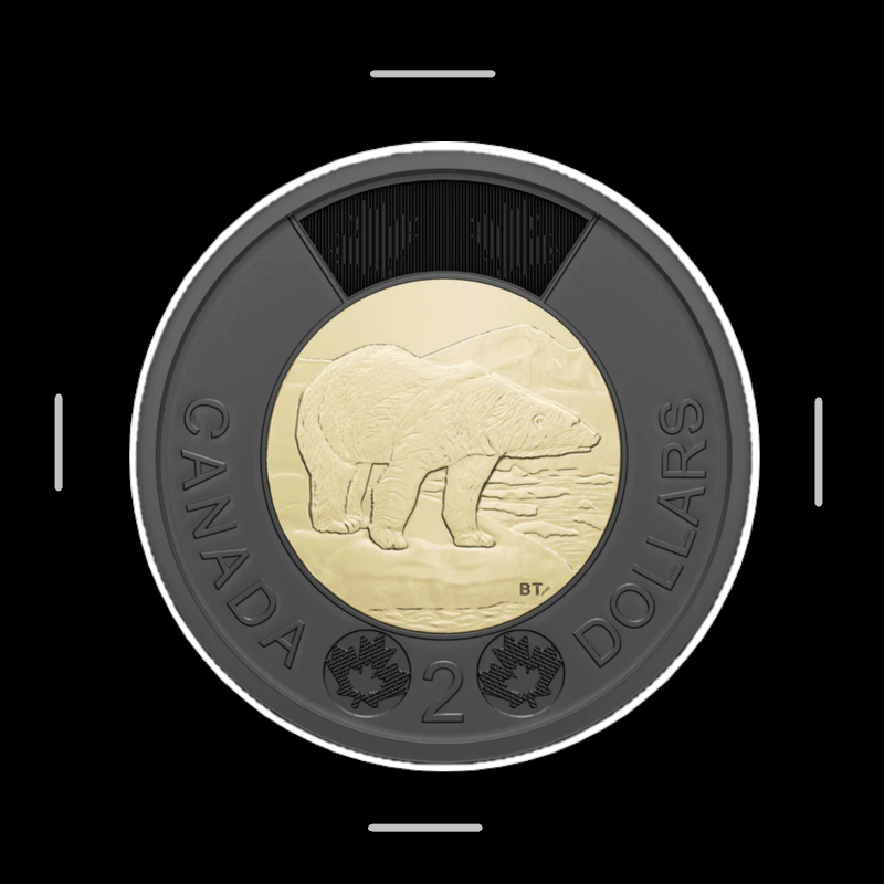 🇨🇦 Canada $2 Dollars Black Toonie in Black Holder, Polar Bear, Mint UNC ...