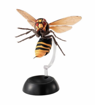Bandai European Hornet Murder Wasp PVC Figure w/ Movable Joints | eBay