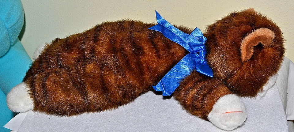 VINTAGE Ty Classic Spice The Cat Plush 1997 Tabby Striped White Paws ...