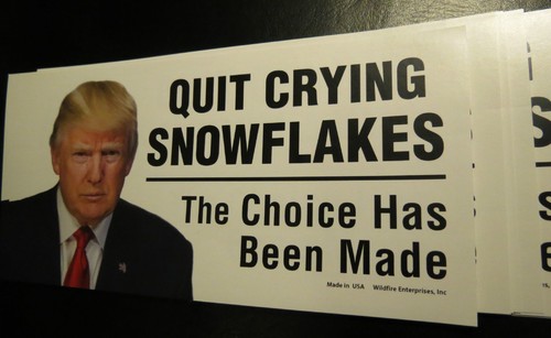 LOT OF 10 QUIT CRYING SNOWFLAKES THE CHOICE HAS BEEN MADE TRUMP ...