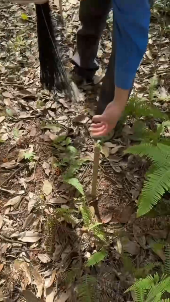 2Pcs Outdoor Nylon Snake Trap Net Hunting Protection Family 20x0.5 ...