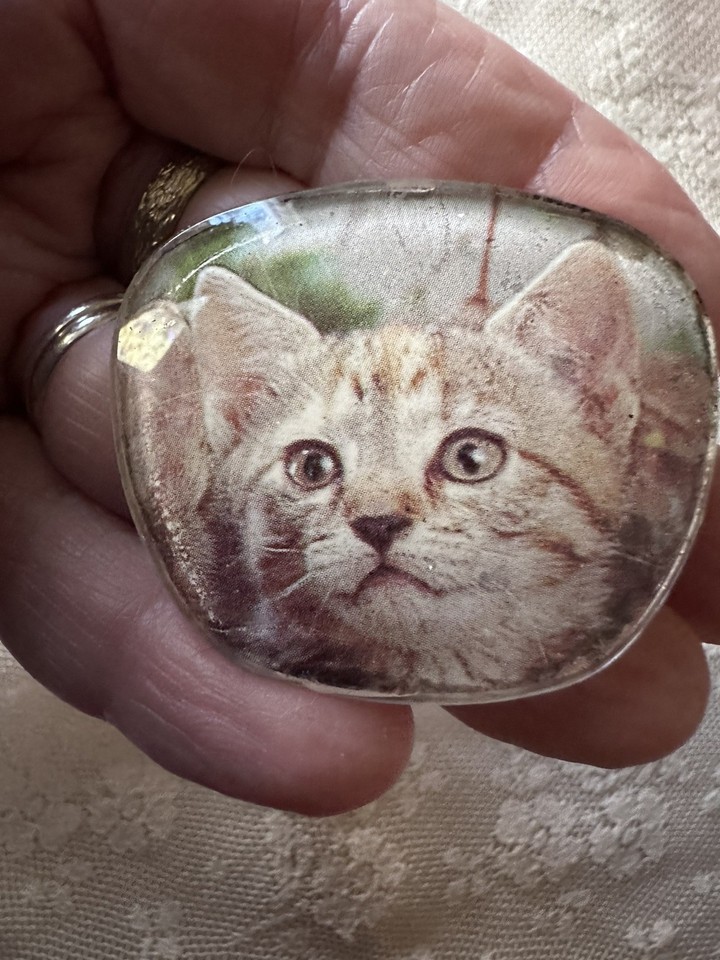 Handmade Cat Pin from 1977 | eBay