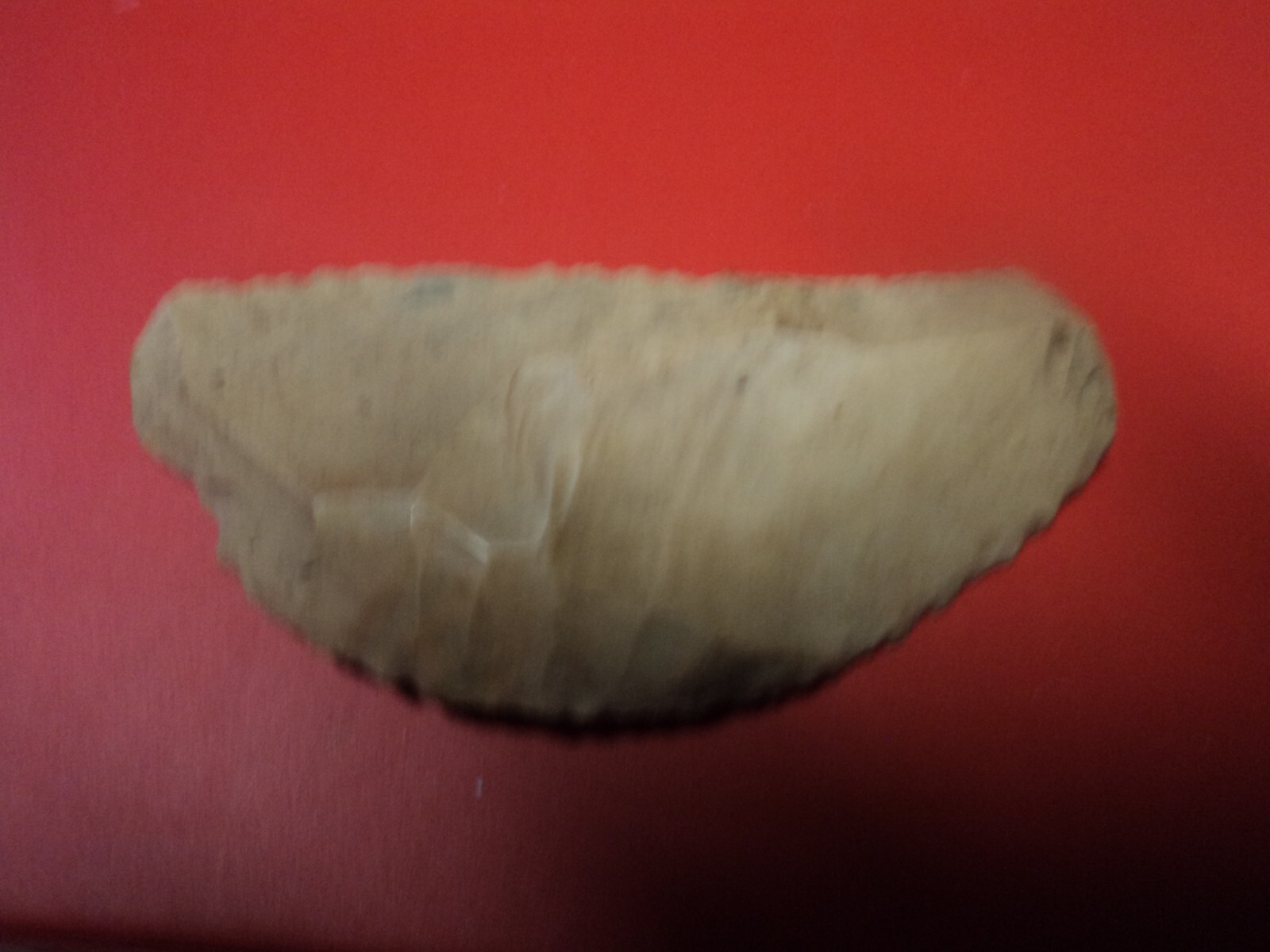 1 Indian artifact. Knife or scraper curved double edged Boone county Mo ...