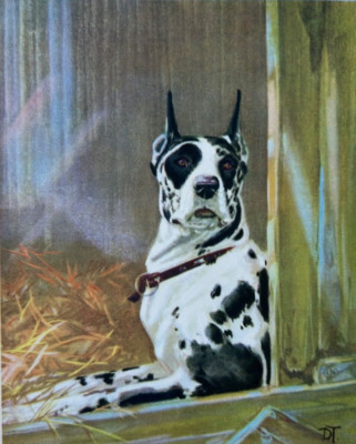Vintage 10x8 Diana Thorne Dog Art Print A Great Dane in Her Kennel | eBay