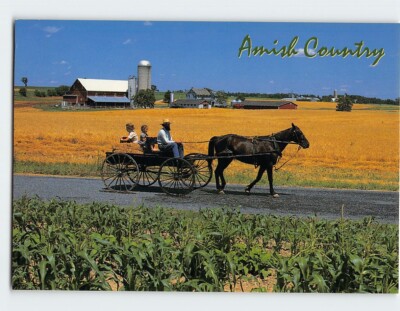 Postcard A typical Amish farm scene, Amish Country, Pennsylvania | eBay ...