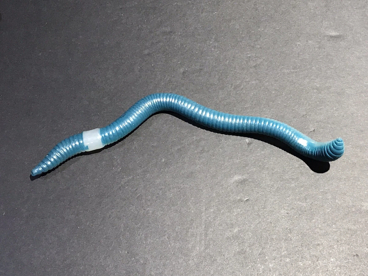 Giant Blue Earthworm