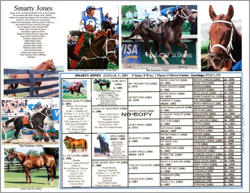 Race horse Smarty Jones Kentucky Derby Preakness winner picture pedigree 11 X 8. | eBay