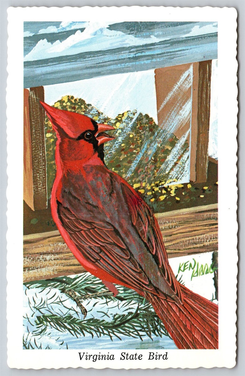 Virginia State Bird Picture Virginia State Art Print | Cardinal Art