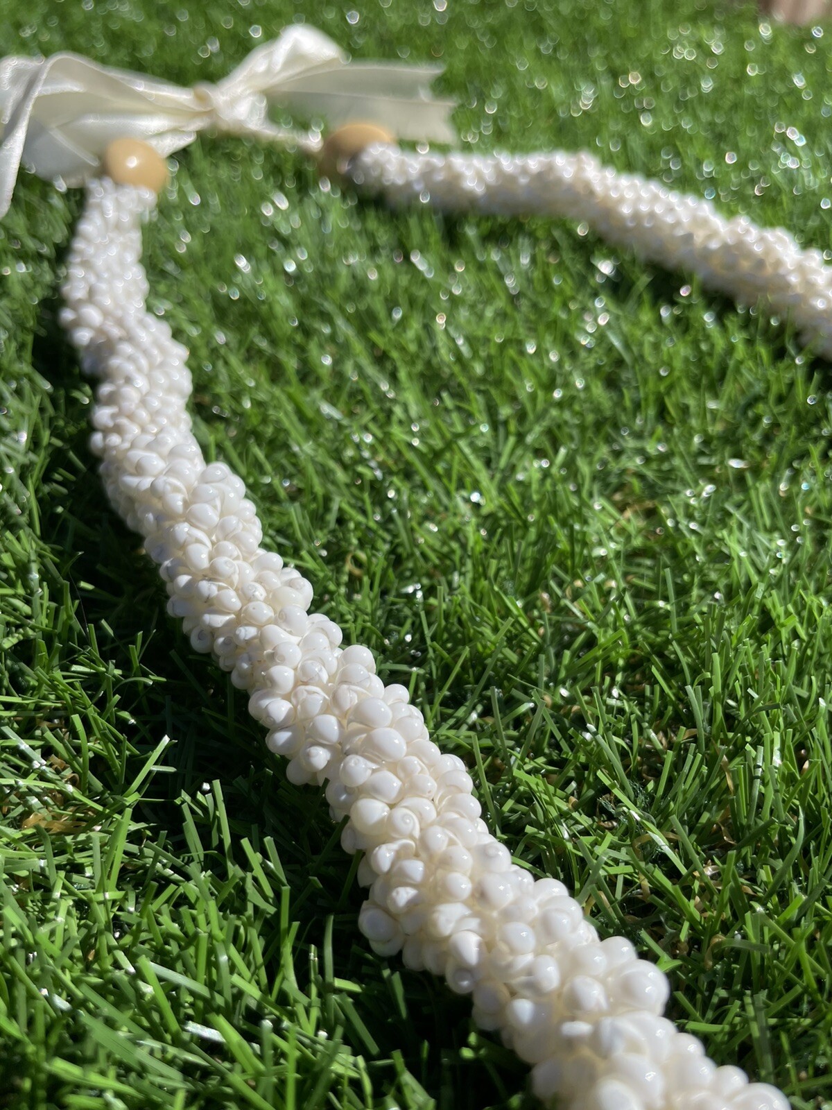 White Mongo Shell Lei (Luau, Graduation, Wedding, Costumes) | eBay