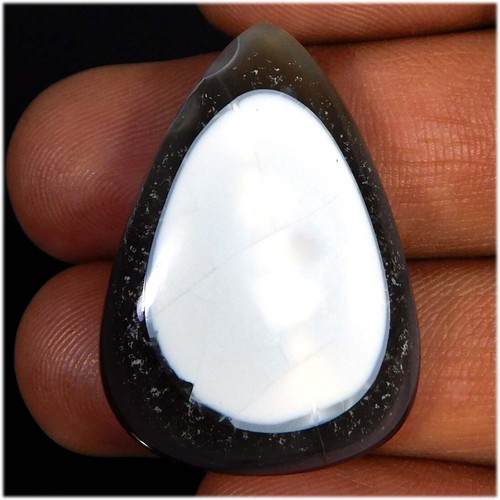 31.50Cts. Natural Amazing Charming Blue Opal Pear Cabochon Loose ...