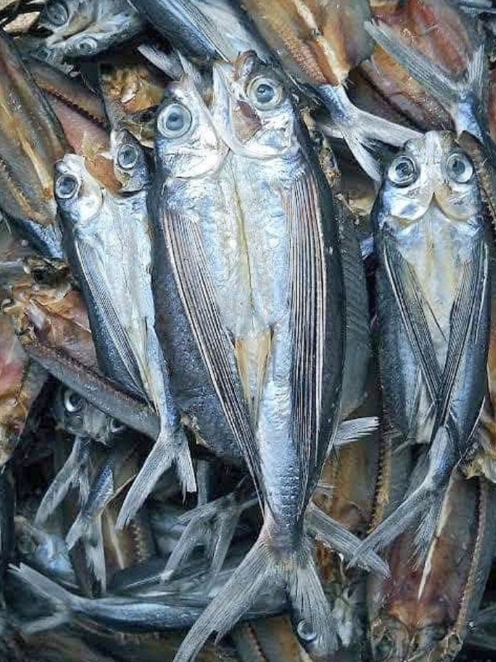 Sun Dried Flying Fish Seafood (Piyamesso Karawala) Dry Fish 100% High ...