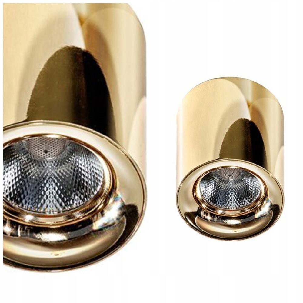 MANE 30W LED Gold Surface Mounted Ceiling Light Downlight Round 3000K ...