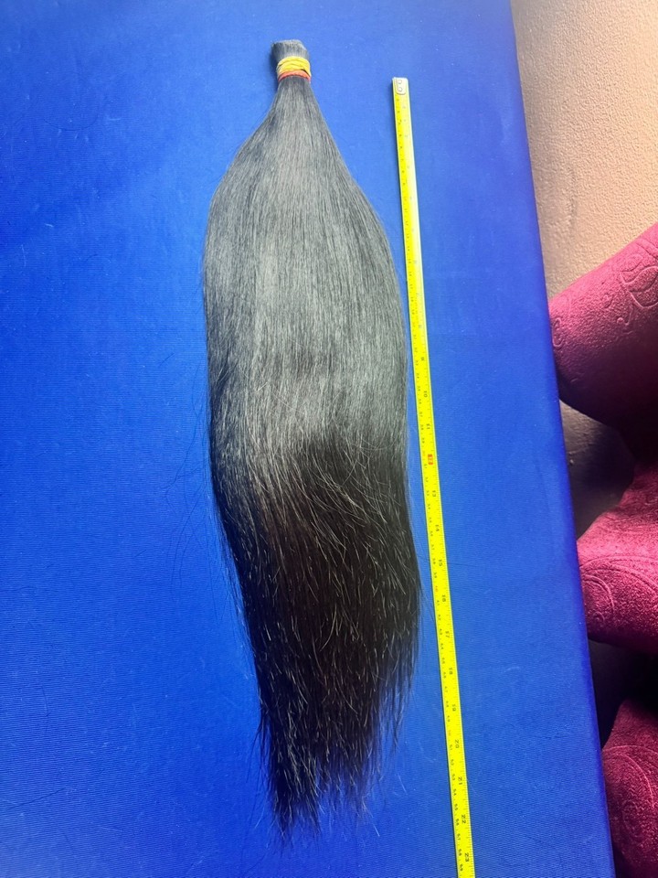 1570 Natural Black Human Hair 22 inch 120 G Long Straight Cut Hair ...