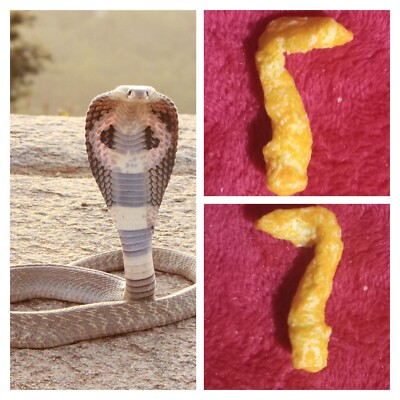RARE CHEETO SHAPPED LIKE COBRA, CHEETOS SHAPED, CRUNCHY CHEETOS, COBRA ...