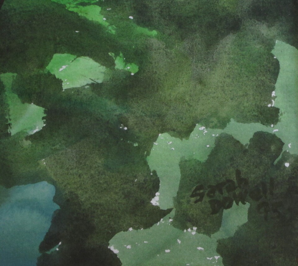 RENOWNED JUNGLE ARTIST SARAH DOWELL WATERCOLOR PAINTING, MONTEVERDE ...