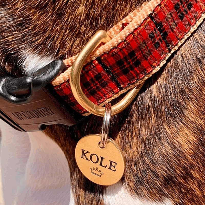 Pet Tags,Deeper Engraved,Brass Charm,Personalized Engraved Dog Cat Name ...