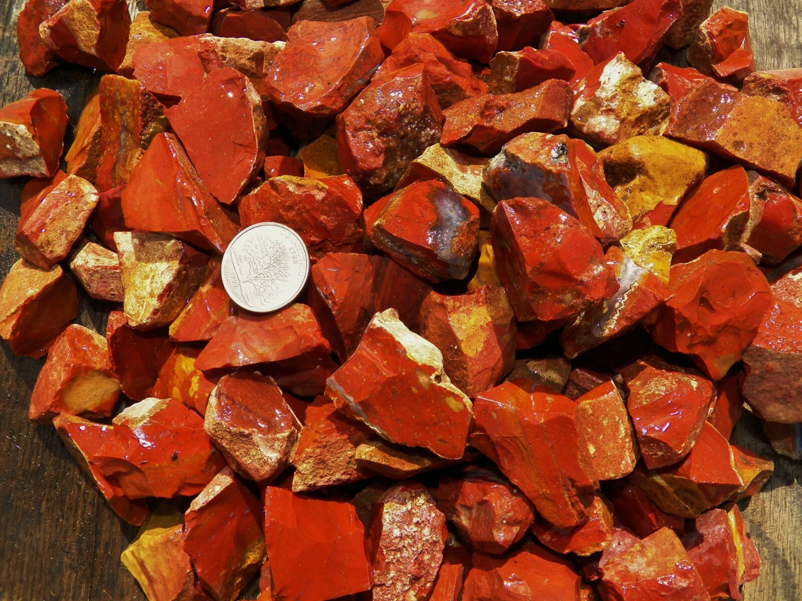 2000 Carat Lots of Chestnut Jasper Rough - Plus a FREE Faceted Gemstone ...