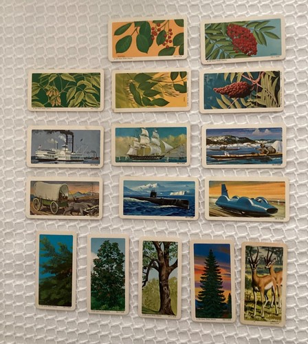 Lot Of 16 - Red Rose Blue Ribbon Tea collectible Cards - Brooke Bond ...